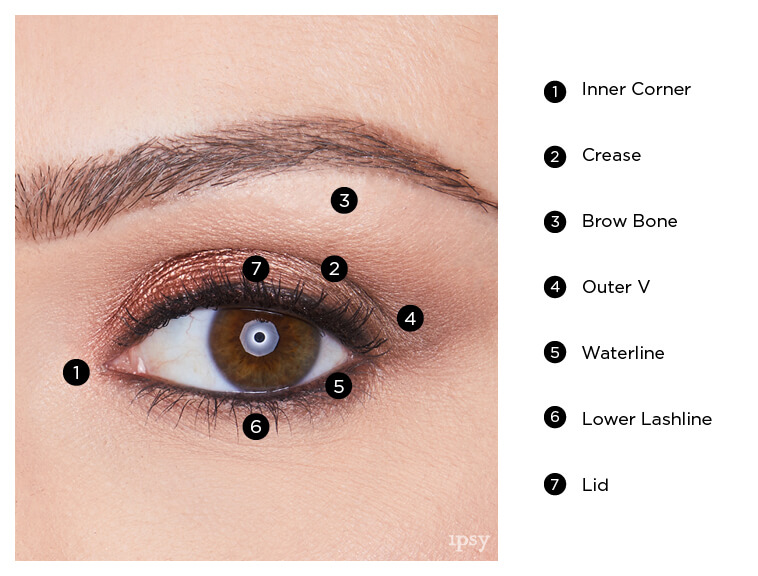 Makeup For Fat Eyelids | Saubhaya Makeup